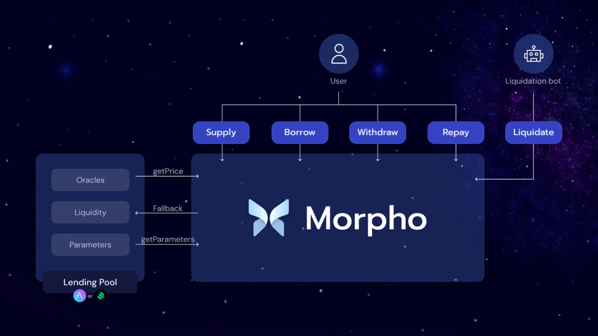 Cơ Chế Hoạt Động Của Morpho (MORPHO) – HakResearch